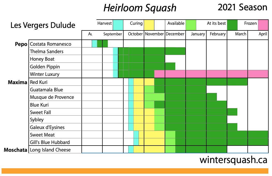 Buyer’s Guide and Availability – Winter Squash