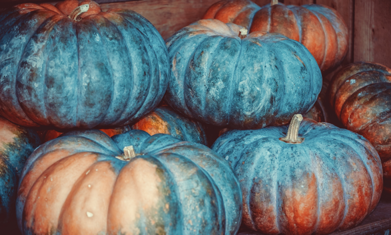 Camarão na Moranga of Brazil – Winter Squash