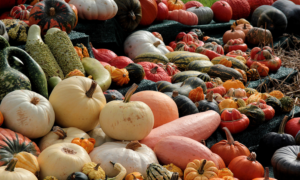 Grilled Costata Romanesco with Mint, Lemon & Feta – Winter Squash