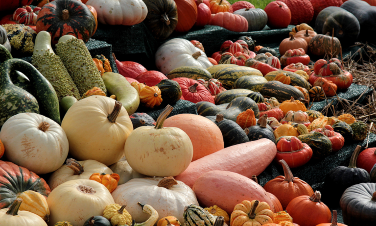 Grilled Costata Romanesco with Mint, Lemon & Feta – Winter Squash